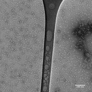 Chapter 1 – Cryo EM 101