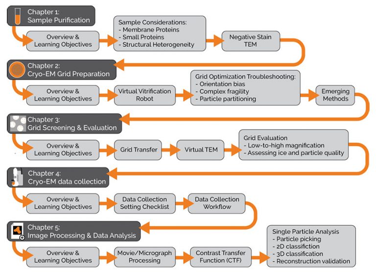 About CryoEM 101 – Cryo EM 101