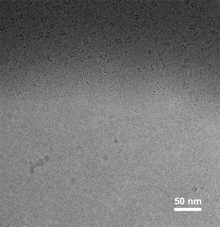 Chapter 3 – Cryo EM 101