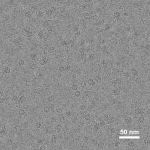 Chapter 3 – Cryo EM 101