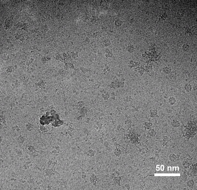 Chapter 3 – Cryo EM 101