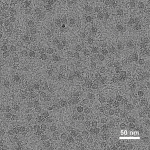 Chapter 3 – Cryo EM 101