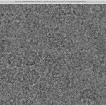 Chapter 3 – Cryo EM 101