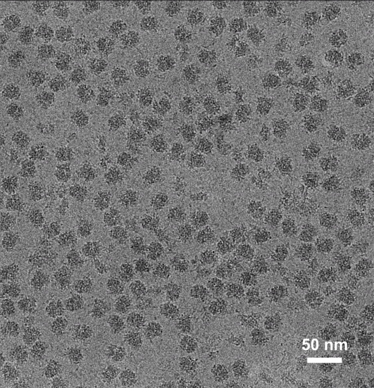 Chapter 3 – Cryo EM 101