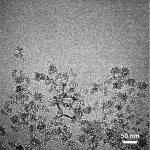 Chapter 3 – Cryo EM 101