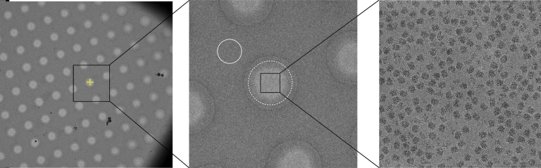 Chapter 4: Cryo-EM Data Collection – Cryo EM 101
