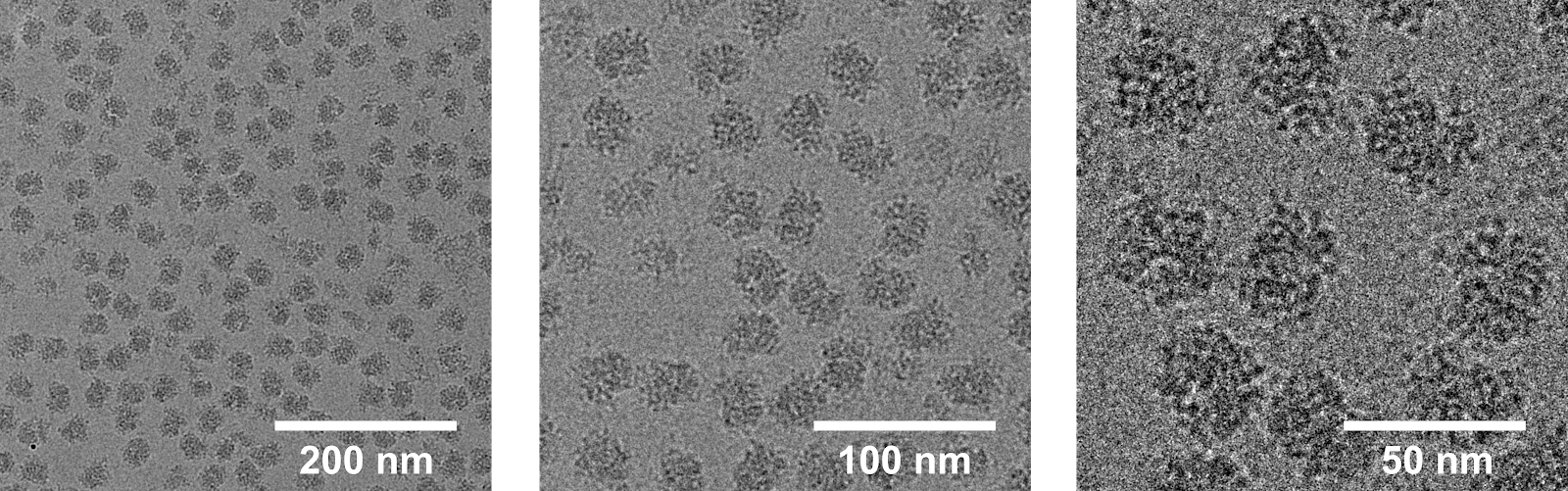 Chapter 4: Cryo-EM Data Collection – Cryo EM 101