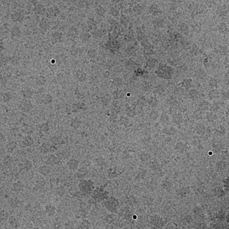 Chapter 4: Cryo-EM Data Collection – Cryo EM 101