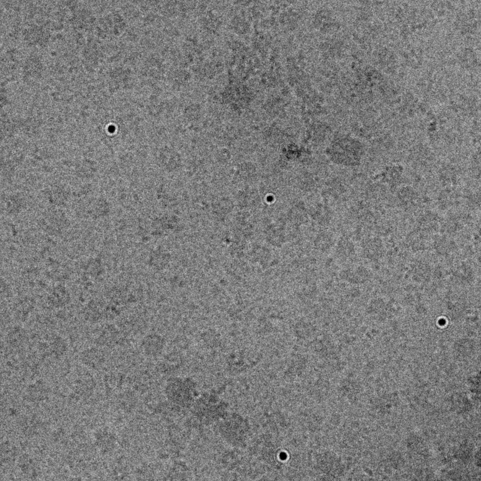 Chapter 4: Cryo-EM Data Collection - Cryo EM 101