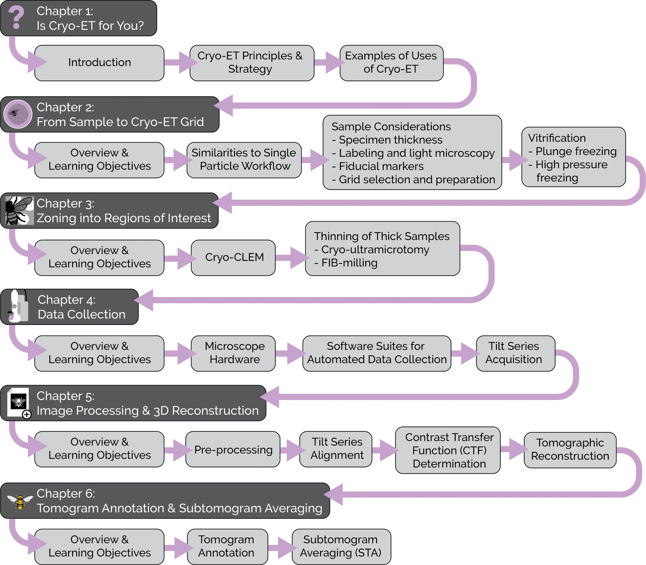About CryoEM 101 – Cryo EM 101