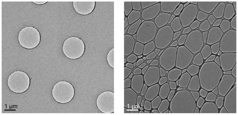 Chapter 2 – ET – Cryo EM 101