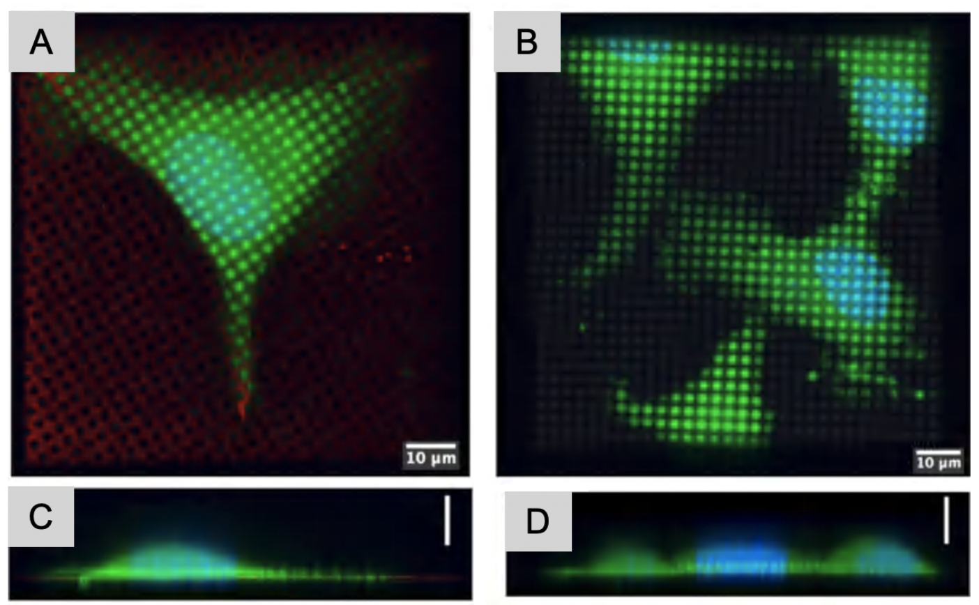 Chapter 2 – ET – Cryo EM 101