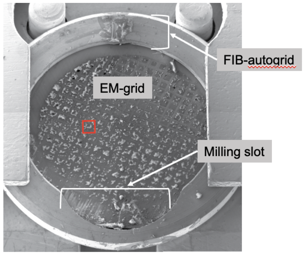 Chapter 3 – ET – Cryo EM 101