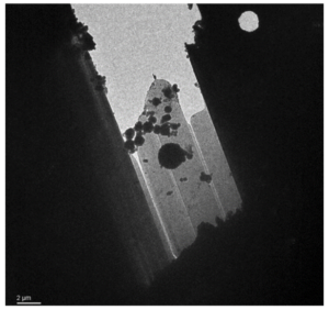 Chapter 3 – ET – Cryo EM 101