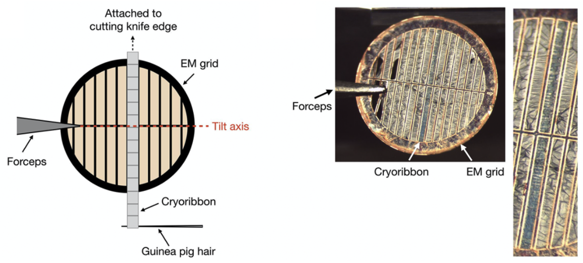 Chapter 3 – ET – Cryo EM 101