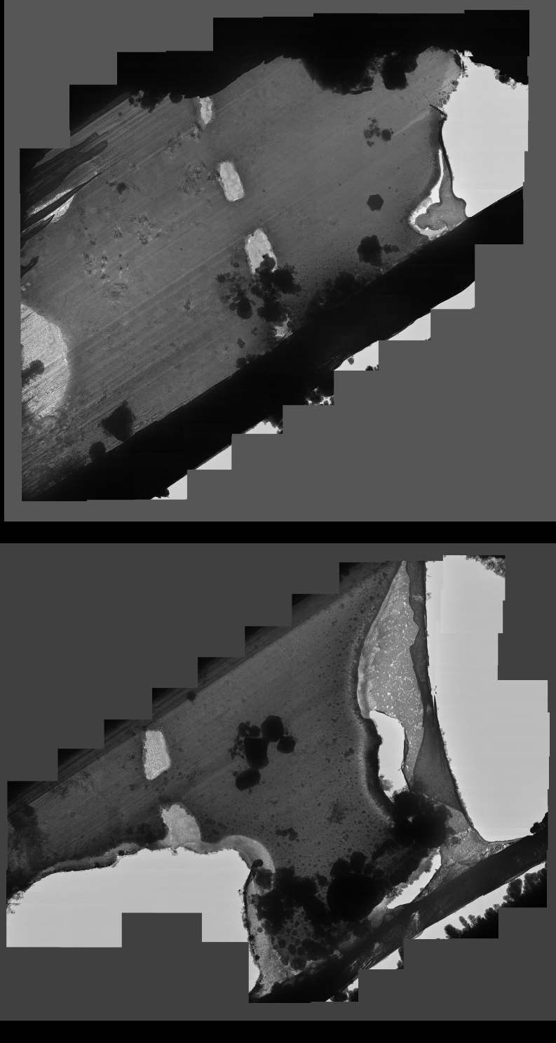 Chapter 3 – ET – Cryo EM 101