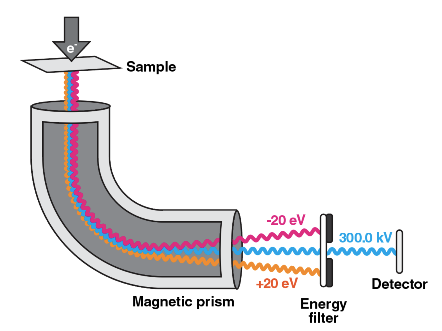 Cryo-ET Chapter 4 – Cryo EM 101