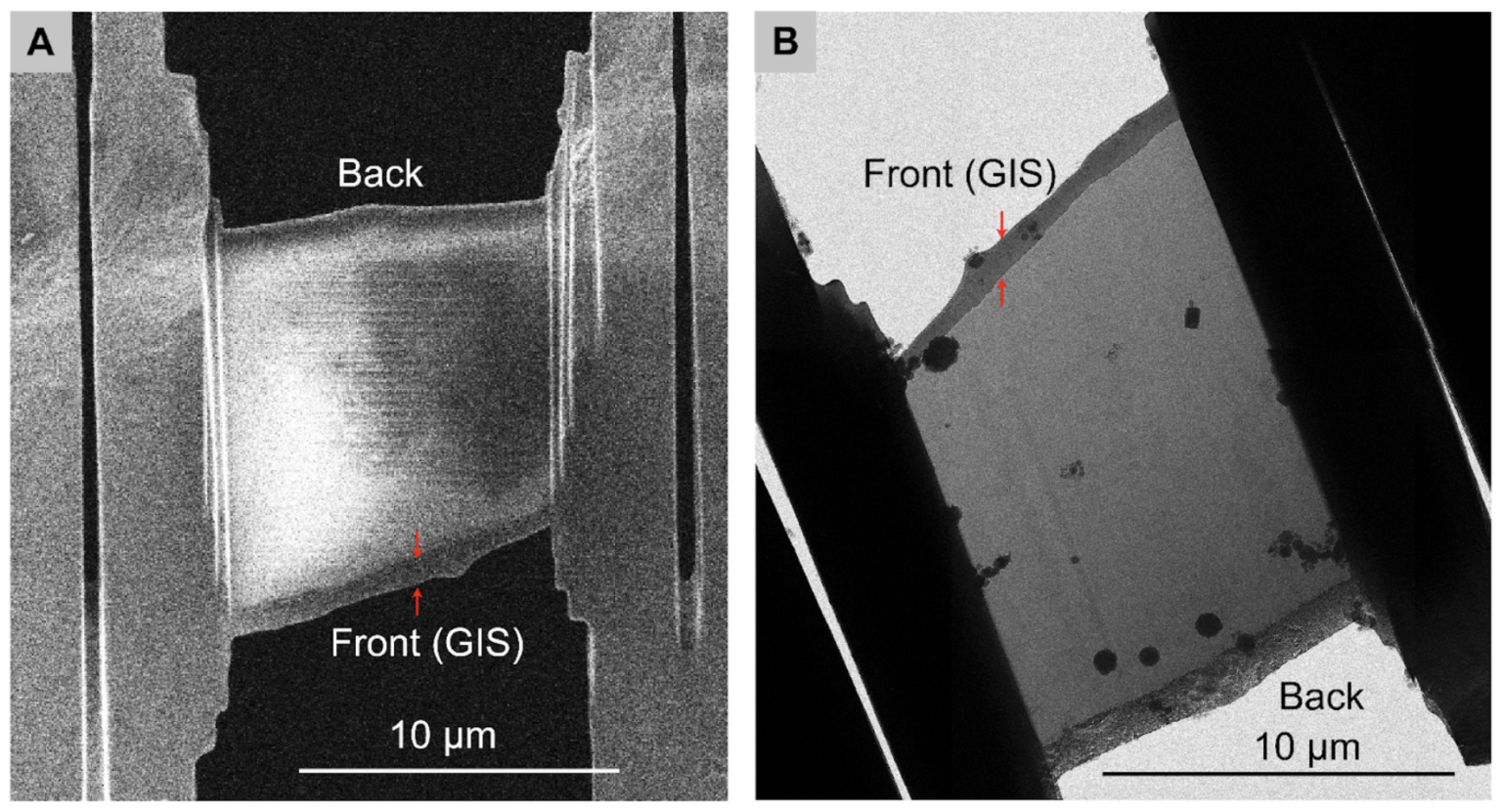 Cryo-ET Chapter 4 – Cryo EM 101