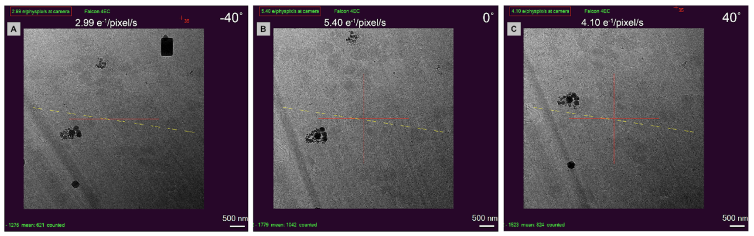 Cryo-ET Chapter 4 – Cryo EM 101