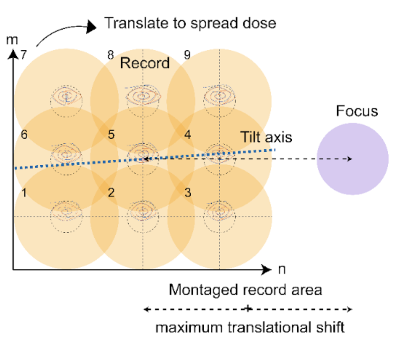 Cryo-ET Chapter 4 – Cryo EM 101