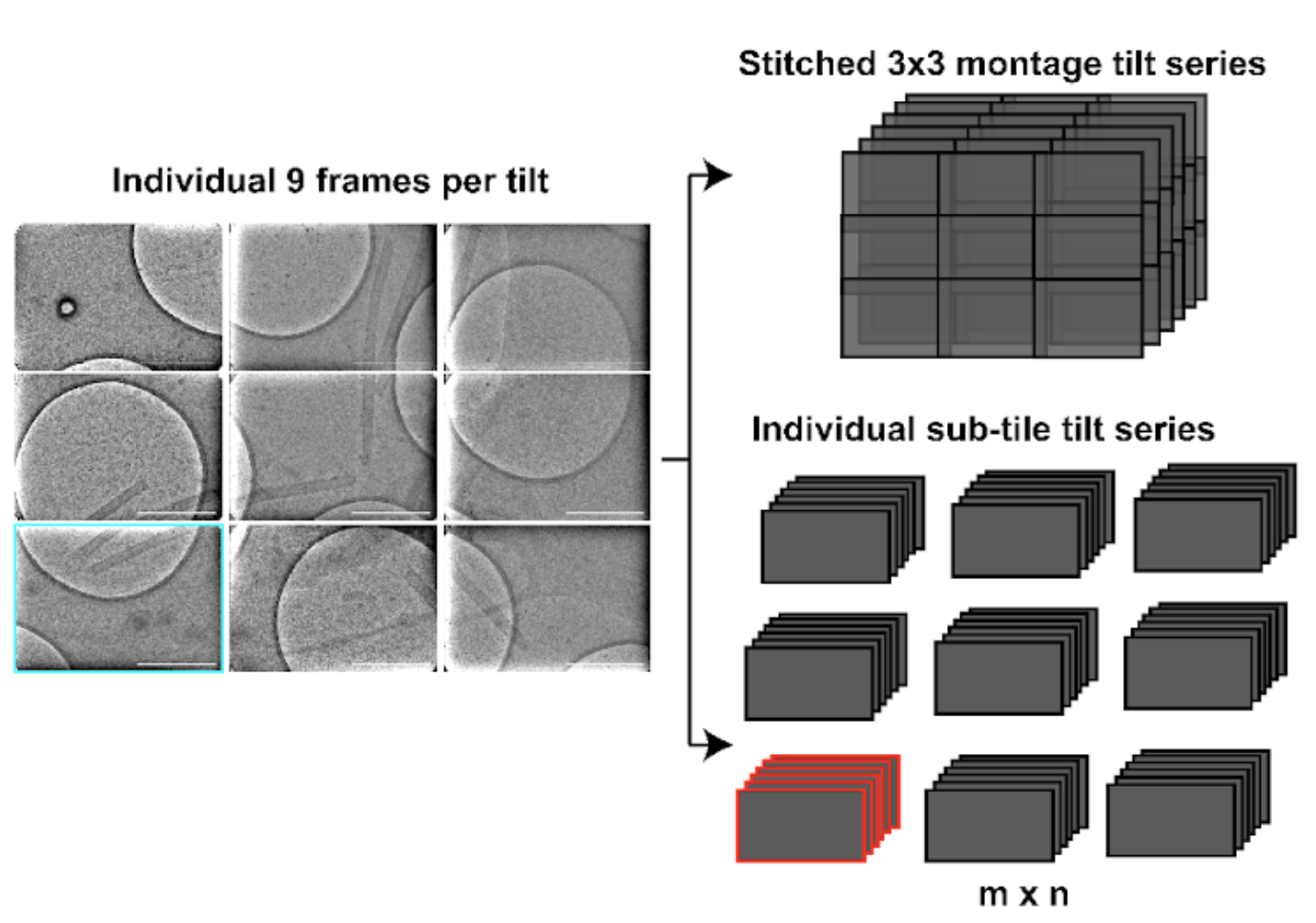 Cryo-ET Chapter 4 – Cryo EM 101