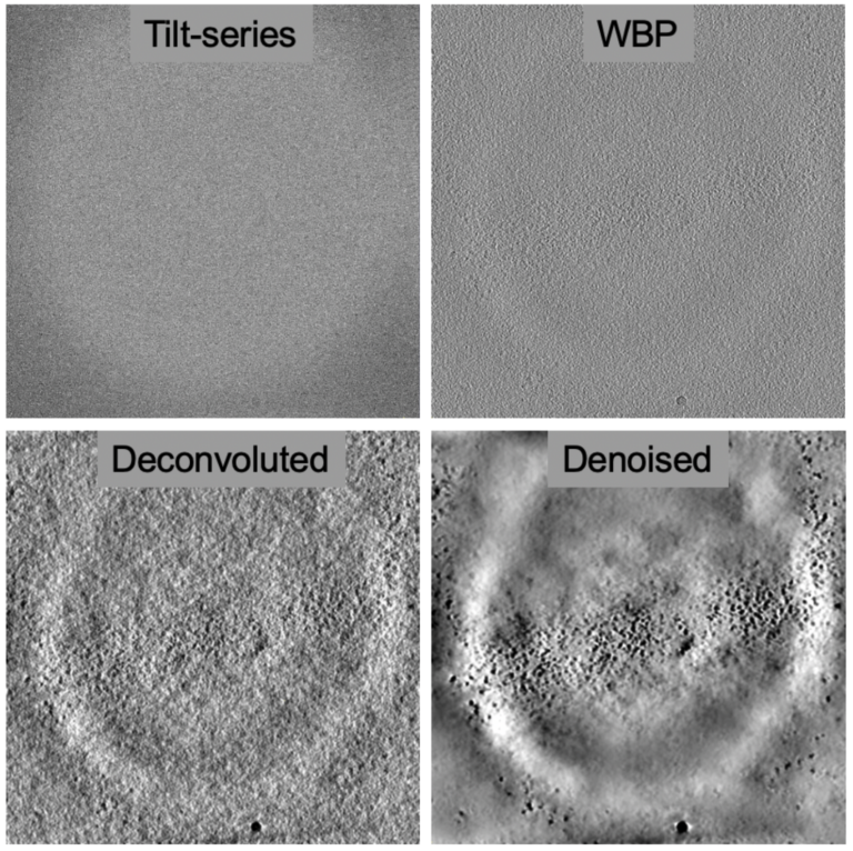 CryoET Chapter 5 – Cryo EM 101