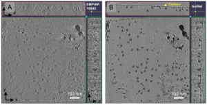 CryoET Chapter 5 – Cryo EM 101